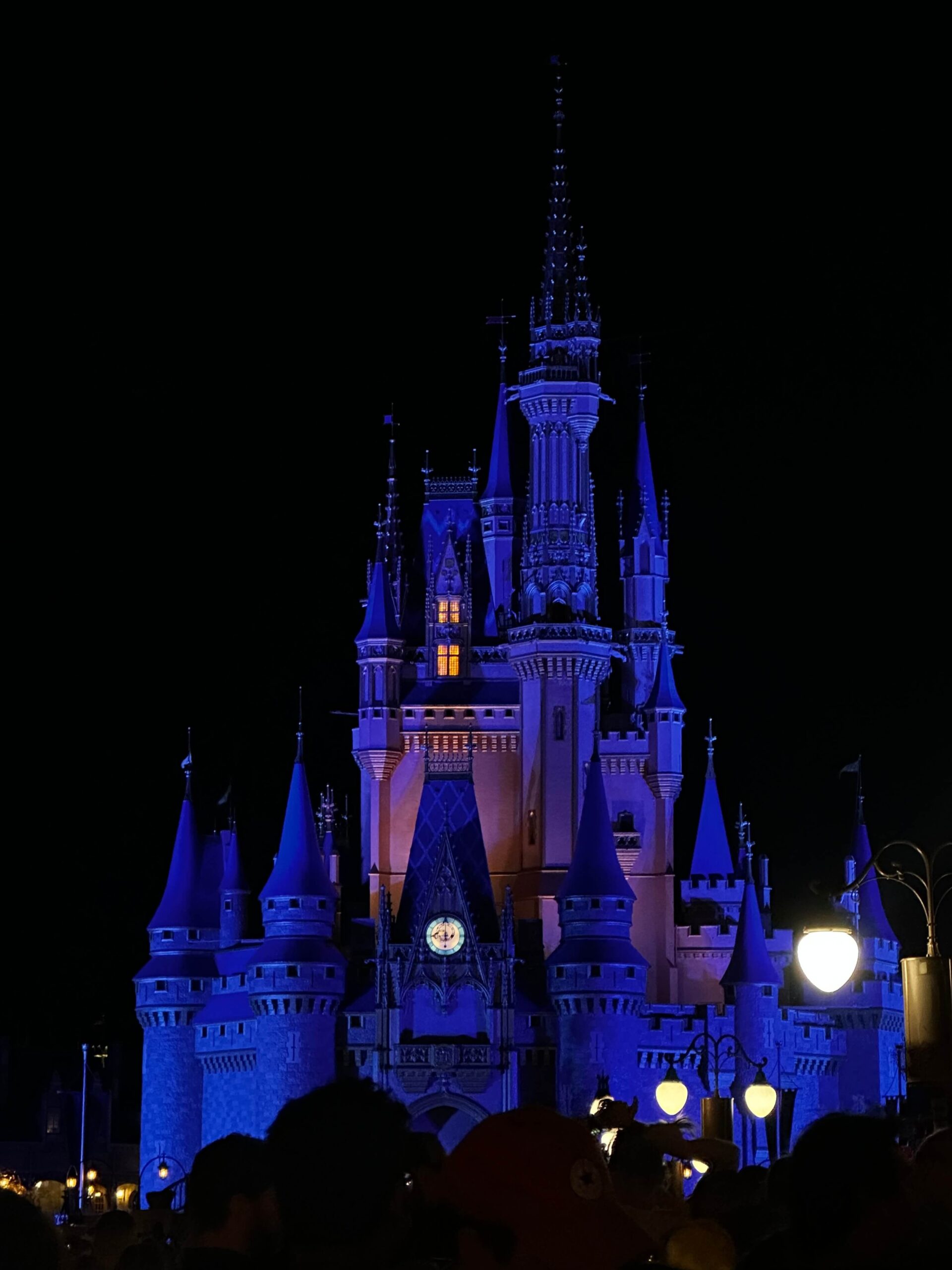 A Day at Disney’s Magic Kingdom: First Family Trip